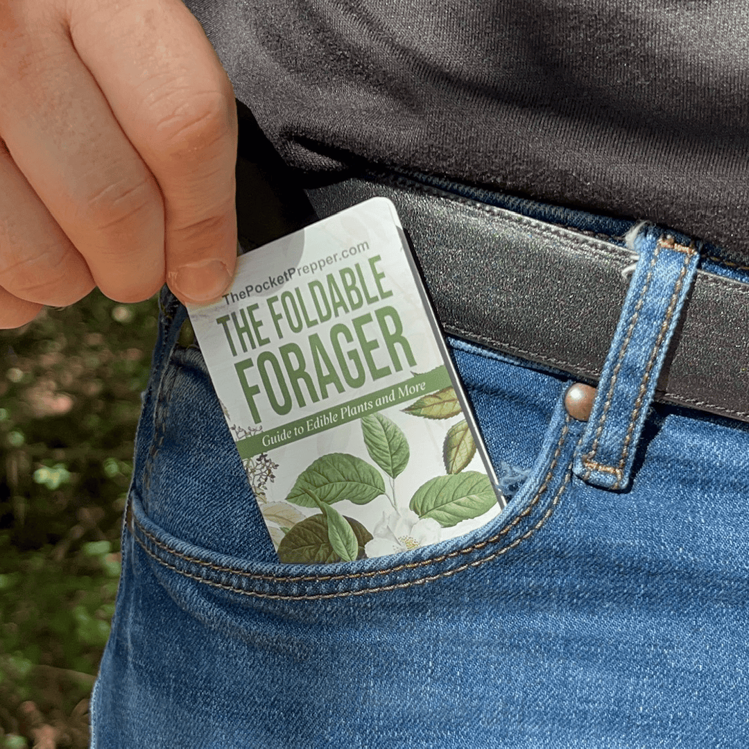 The Foldable Forager - Your Pocket Sized Survival Foraging Book